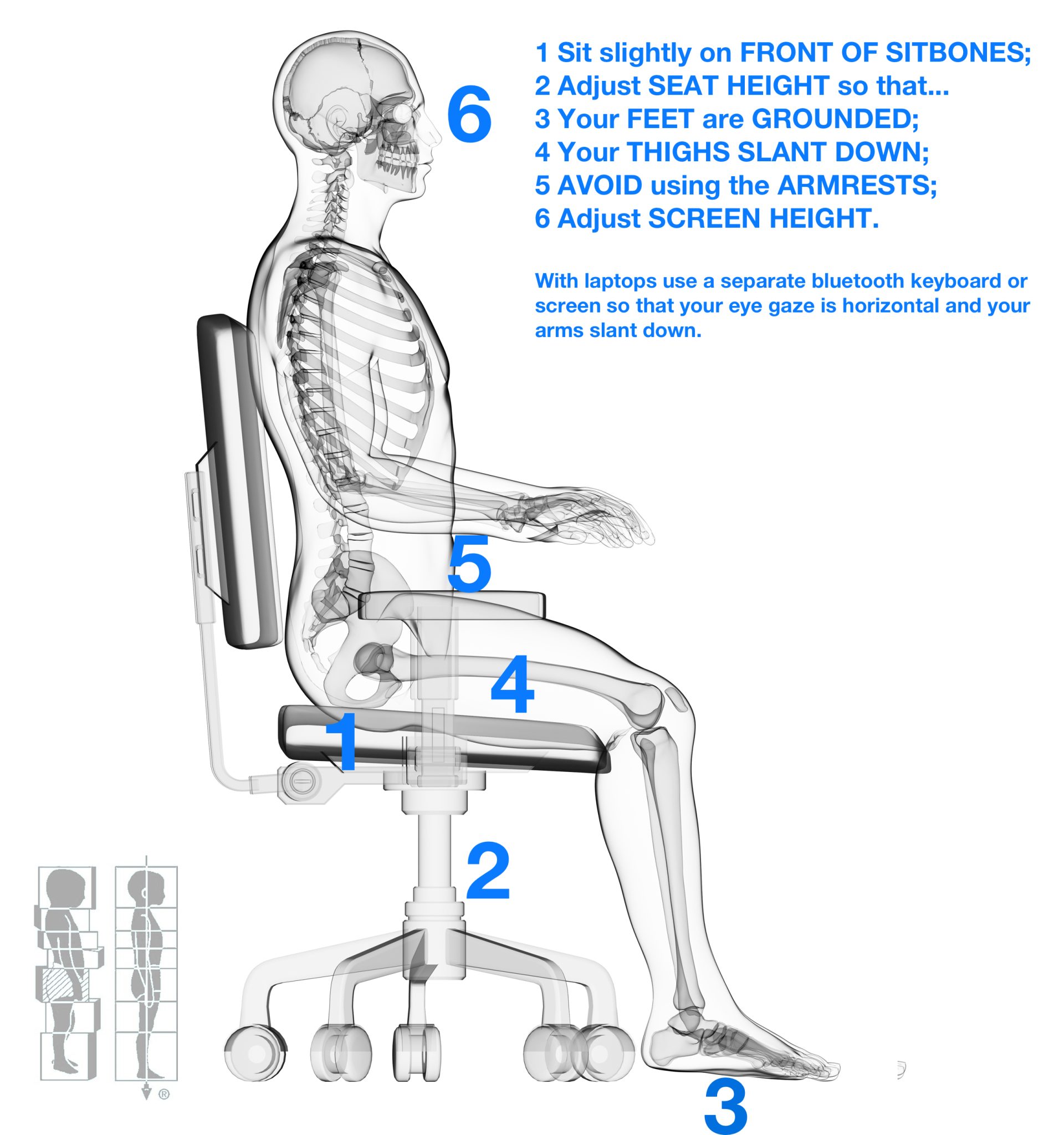 Principles of Good Work Sitting Posture - Aligned Bodies
